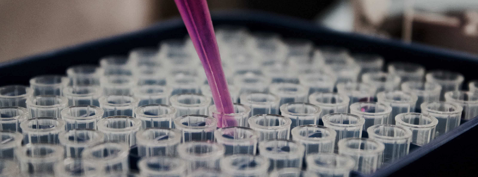 Lab Testing Hong Kong | Health Screening at IMI