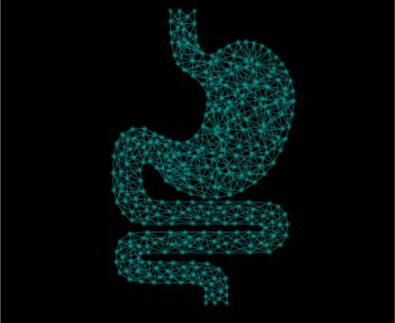 Lab Testing Hong Kong | Health Screening at IMI